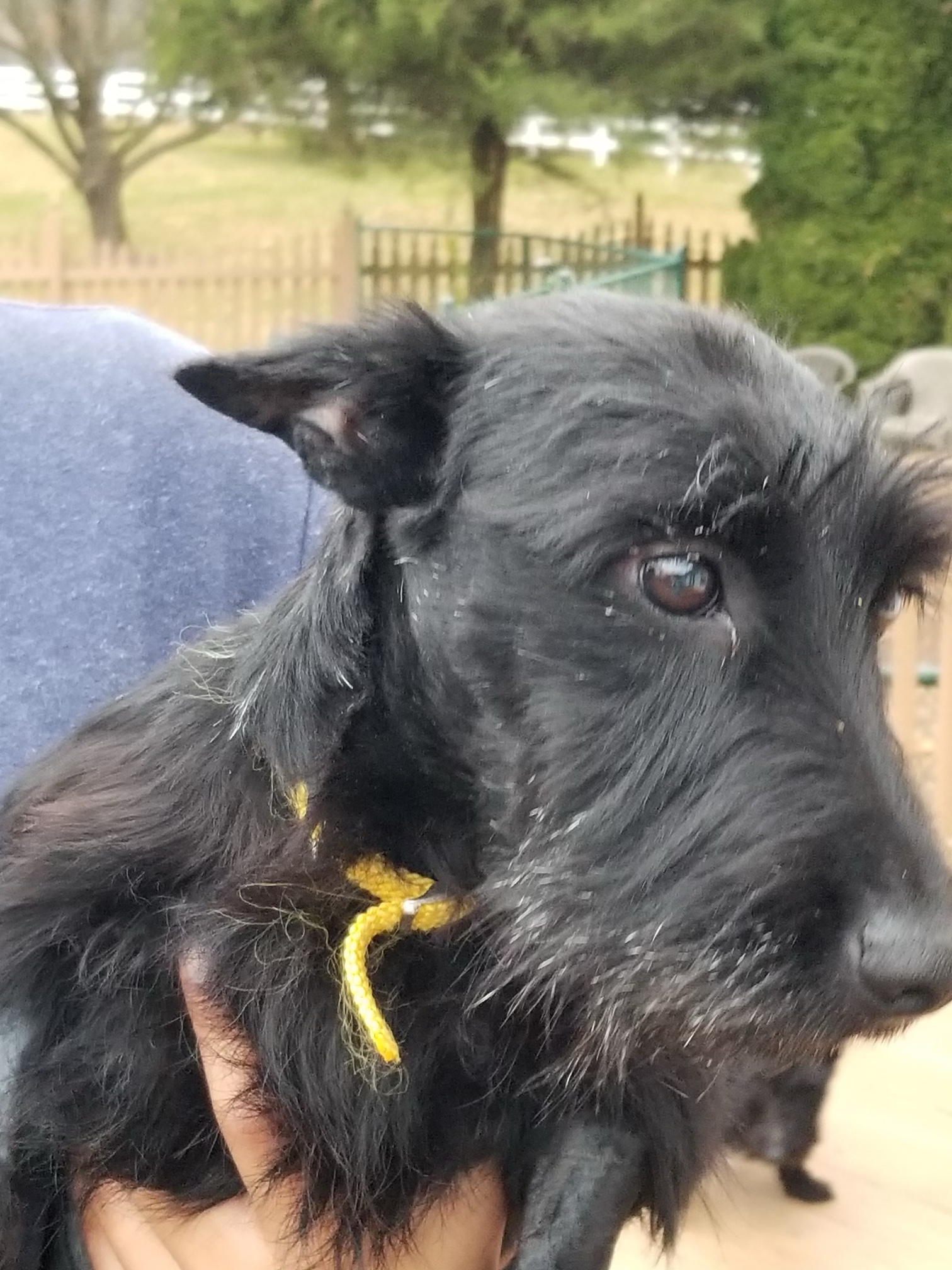 Trisha Update – Stormstown Dispatch