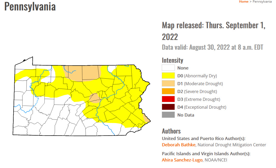 Summary 0f Summer 2022 – Stormstown Dispatch